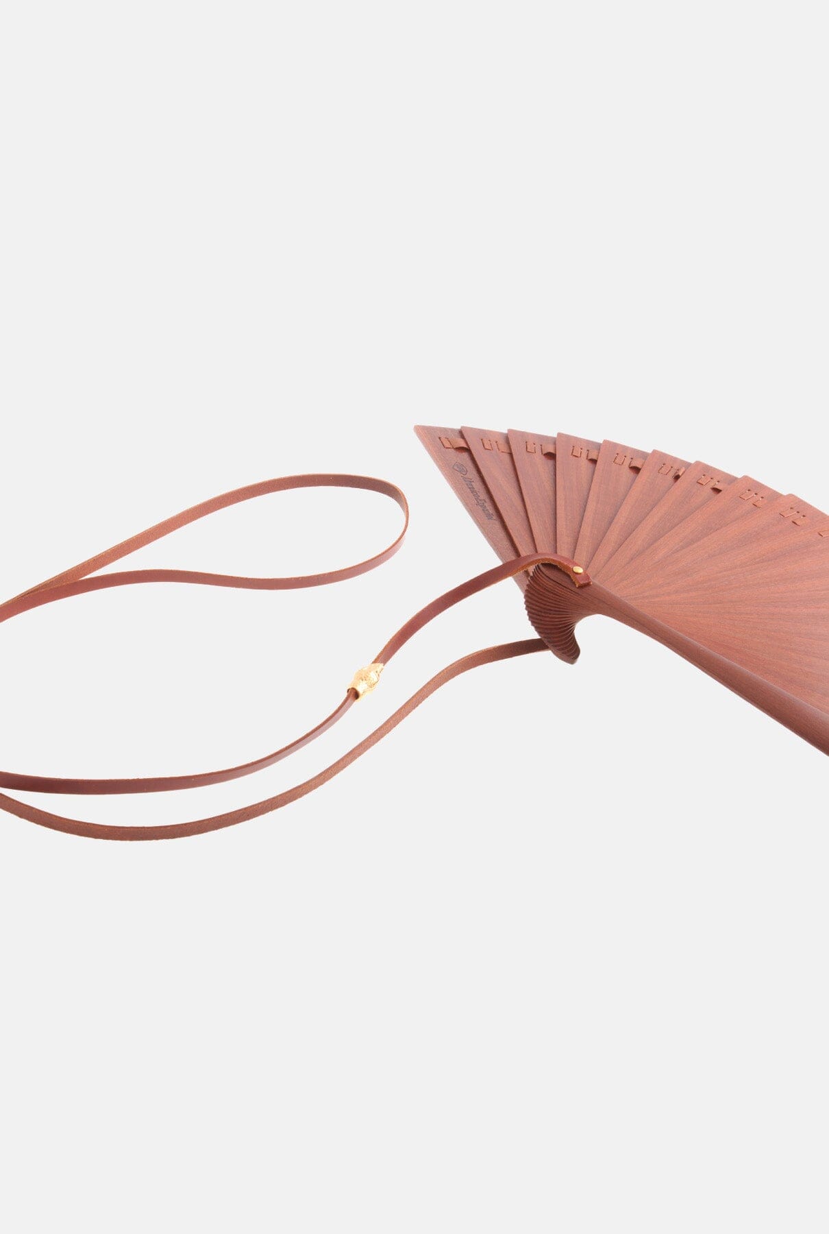 Robin Snake GL – ES Fascinante